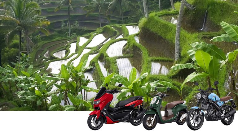 Bali Scootr | Scooter and Motorbike Rentals in Denpasar – Bali Scootr ...